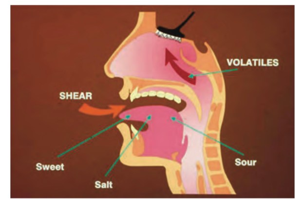 The importance of Micron size in chocolates – rudvik engineers