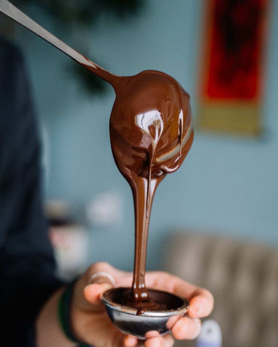 The importance of Viscosity in Chocolates – rudvik engineers