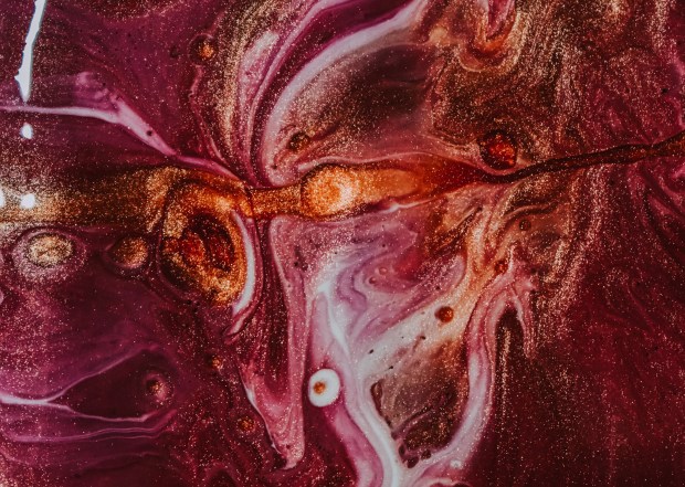 Emulsifiers: The Sweet Secret to Perfect Chocolate Texture – rudvik ...